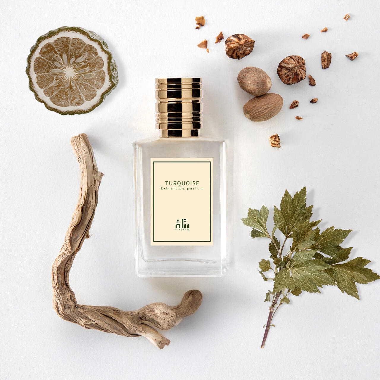 Turquoise Batlah perfume - a new fragrance for women and men 2025