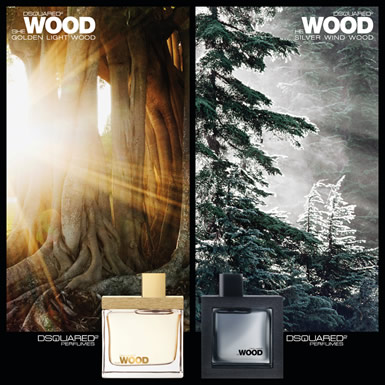 She Wood Golden Light Wood DSQUARED² perfume - a fragrance for women 2011