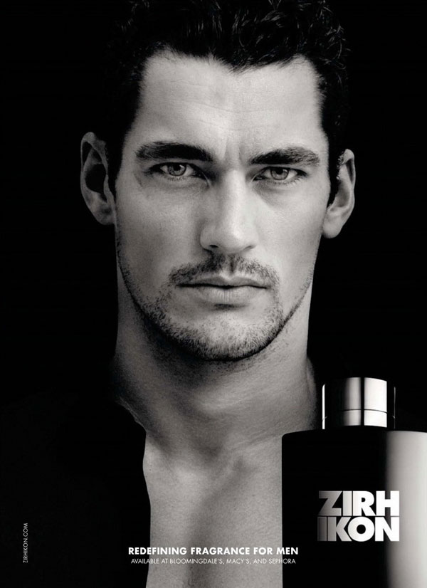 Ikon Zirh colônia - a fragrância Masculino 2008