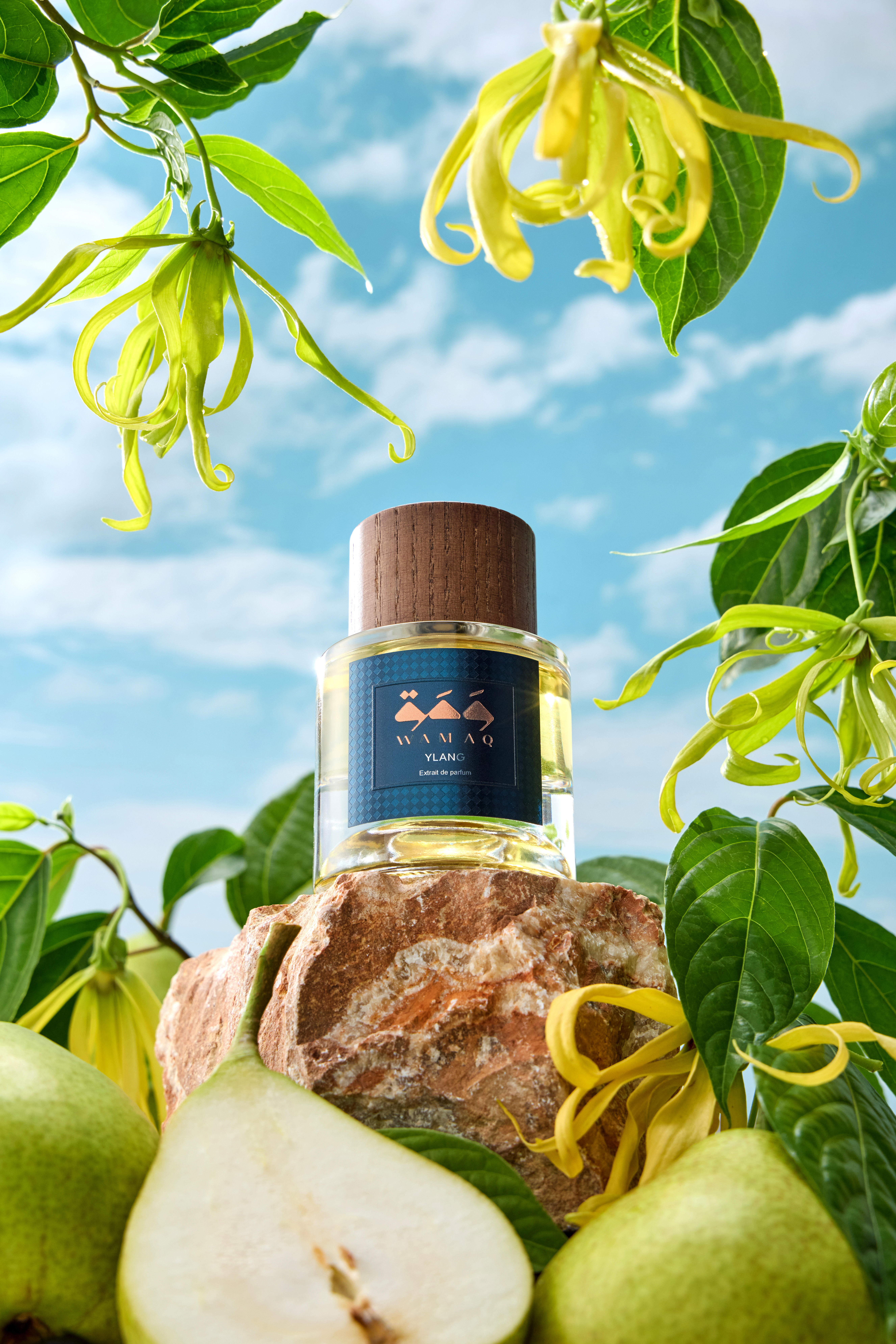 Ylang WAMAQ parfum - een nieuwe geur voor dames en heren 2026