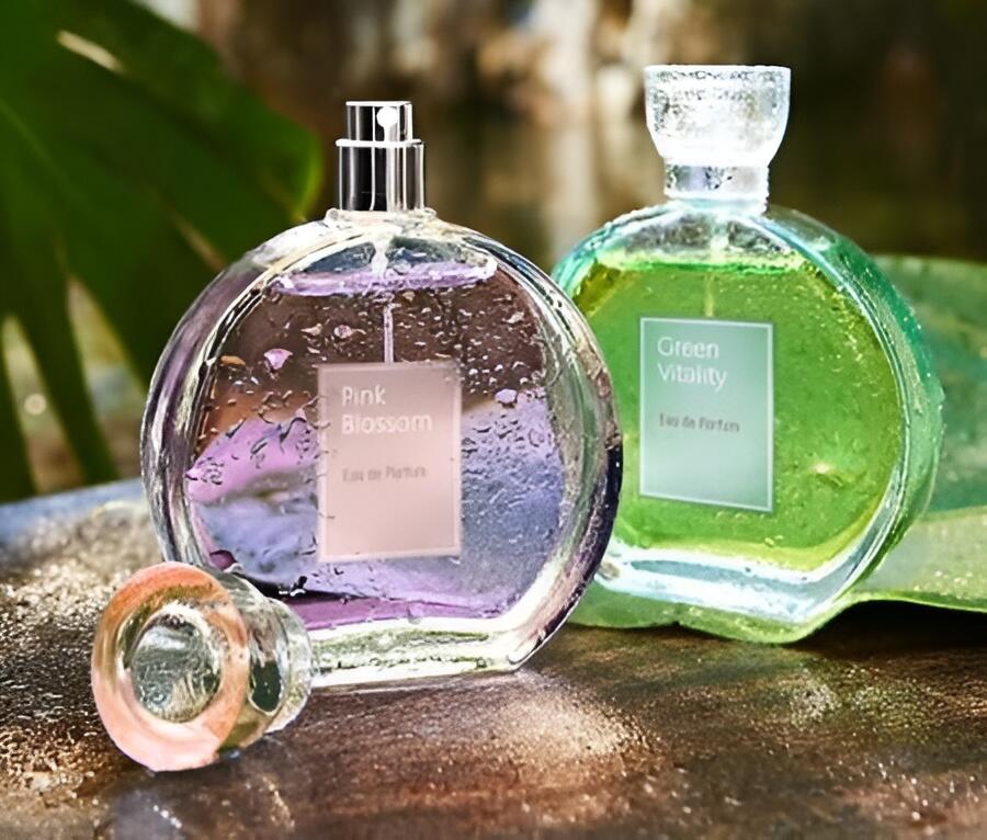 Green Vitality Tchibo perfume - a fragrance for women 2015