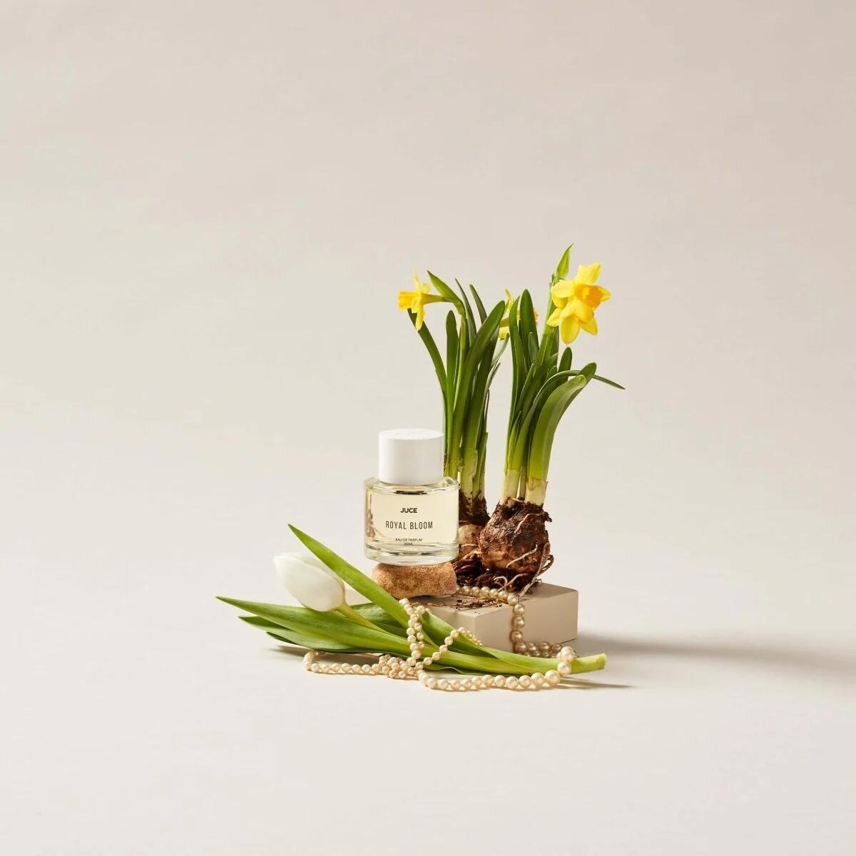 Royal Bloom Juce perfume - a fragrance for women 2024