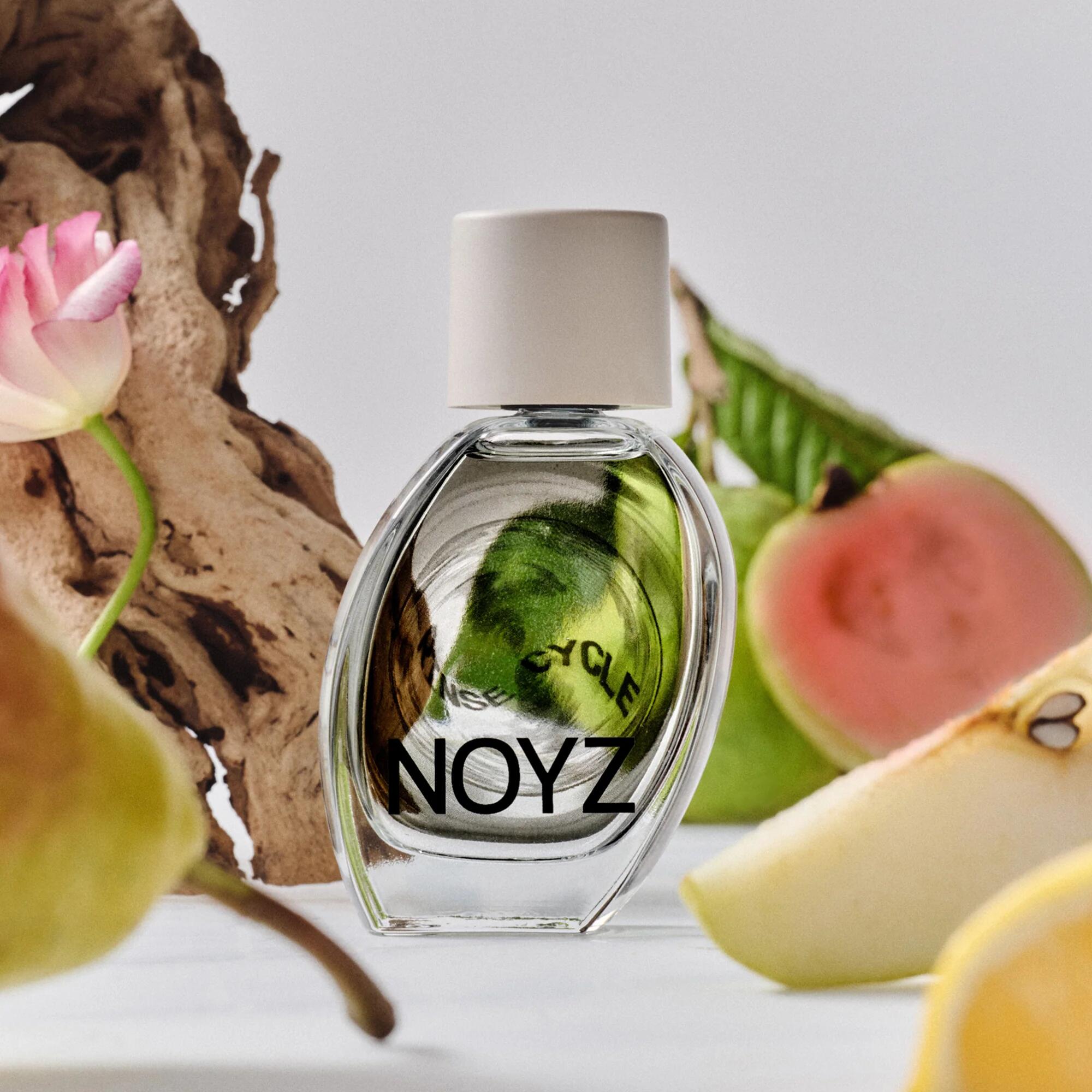 Rinse Cycle Noyz perfume - a new fragrance for women and men 2026