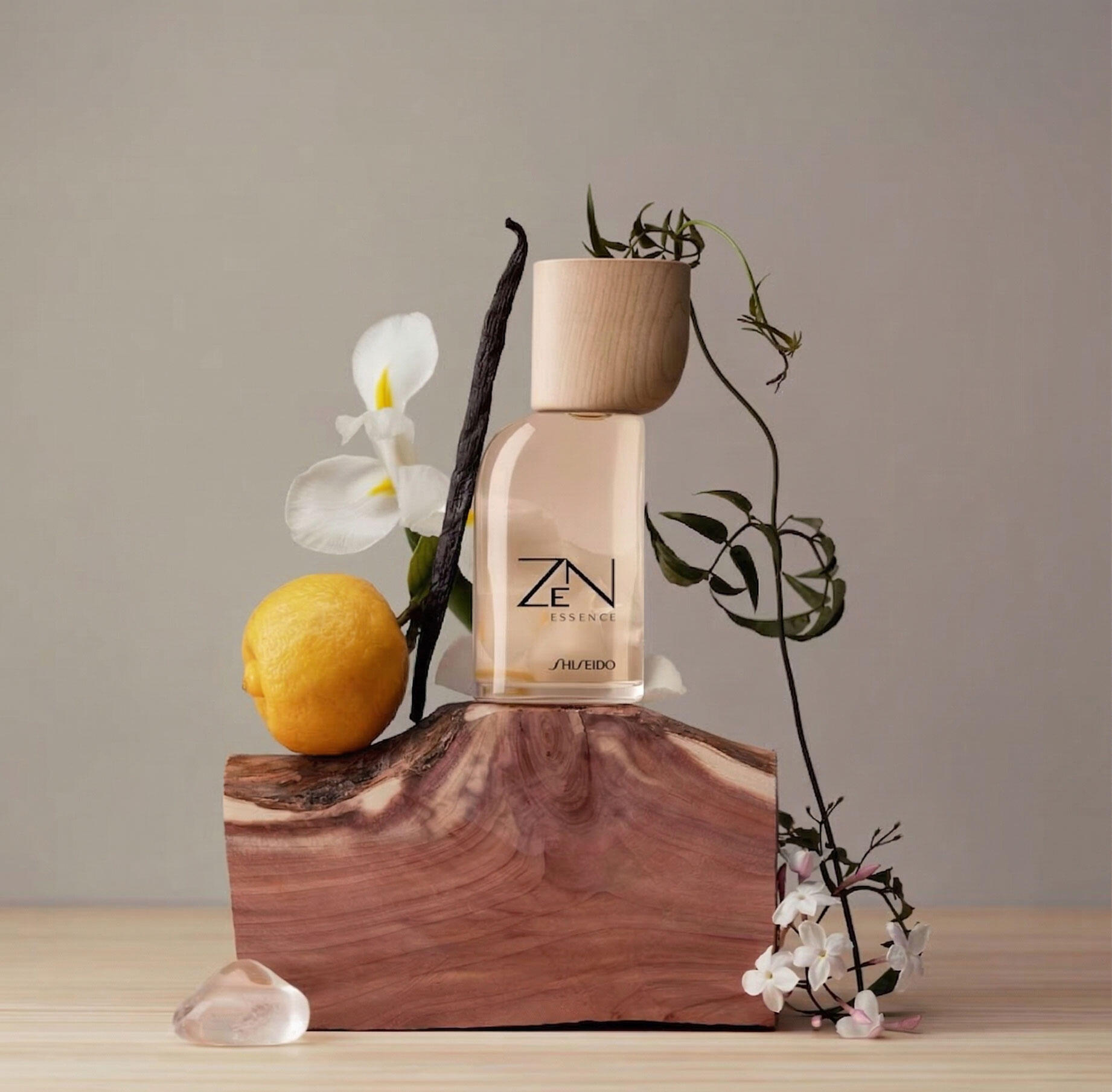 Zen Essence Shiseido perfume - a new fragrance for women 2026