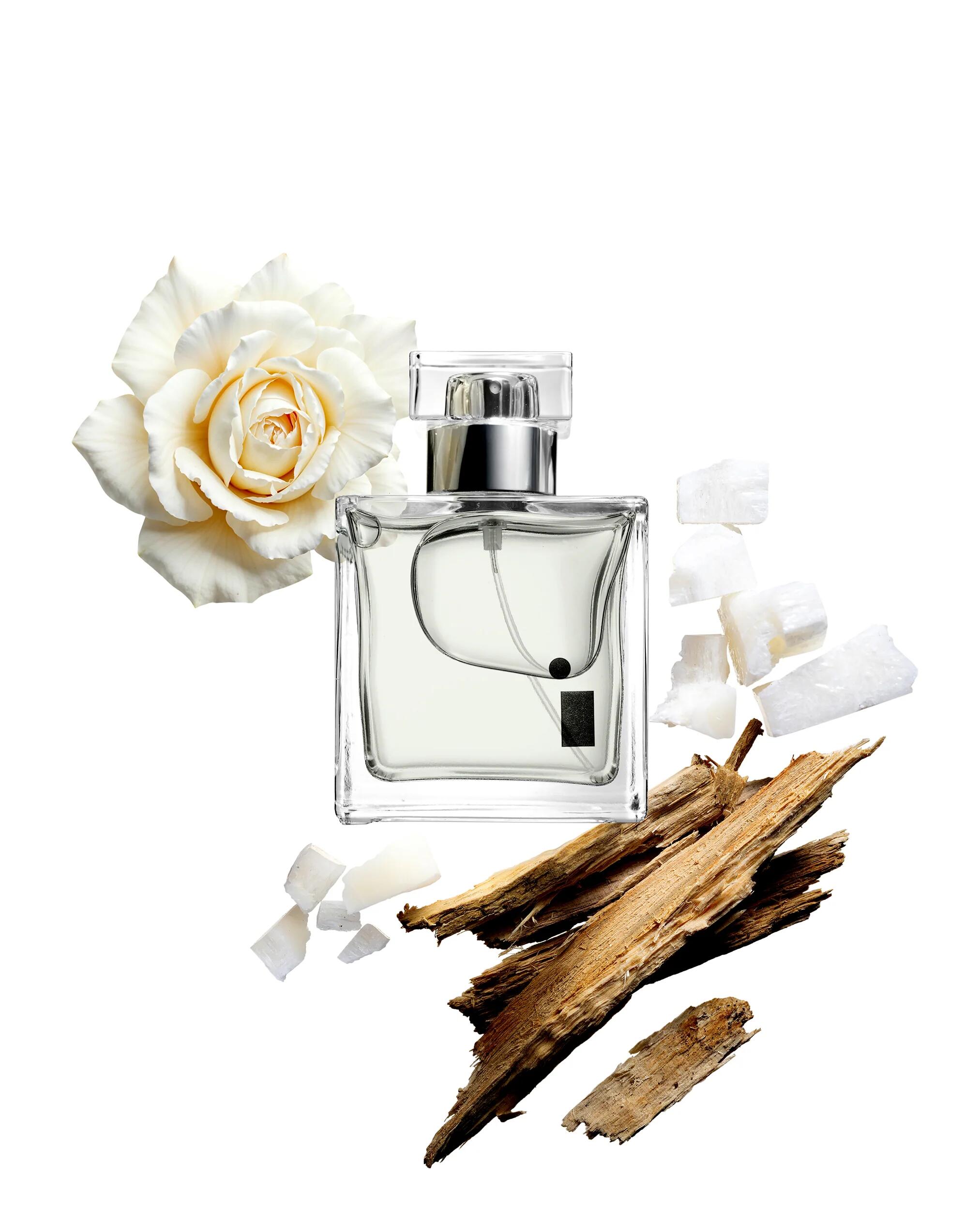 White Musk 2026 Illuminum parfum - un nouveau parfum pour homme et ...