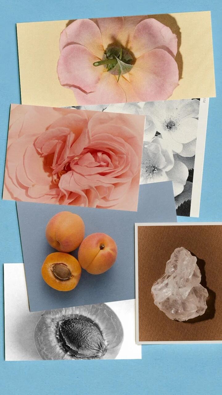 Odéon Rosebud Memo Paris perfume - a new fragrance for women and men 2026