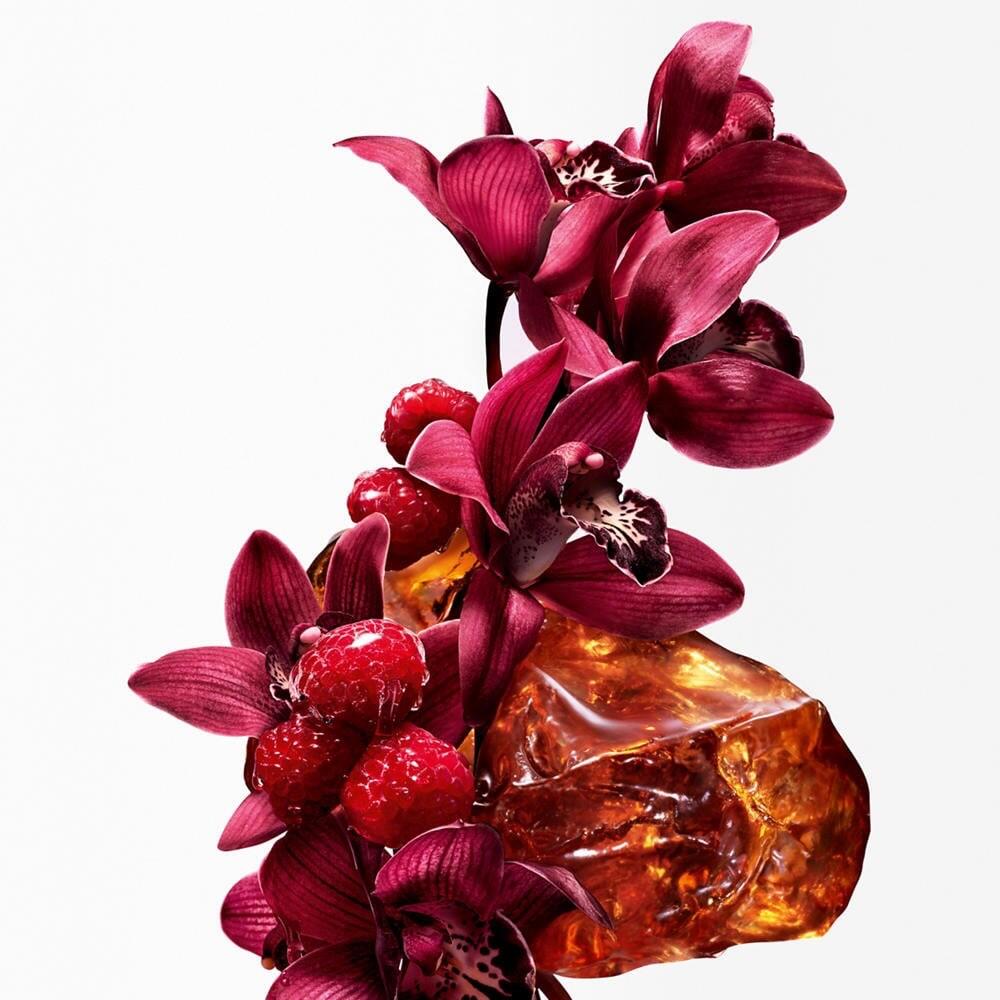 La Bomba Intense Carolina Herrera perfume - a new fragrance for women 2026