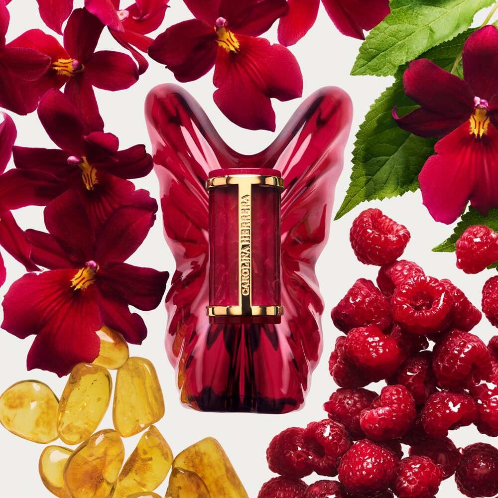 La Bomba Intense Carolina Herrera perfume - a new fragrance for women 2026