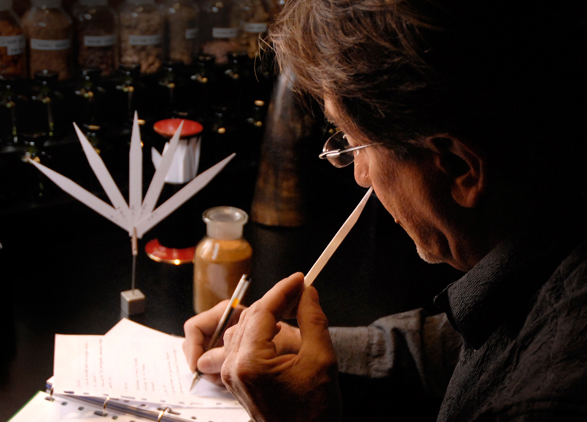 Dry Wood Ramon Monegal perfume - a fragrance for women and men 2012