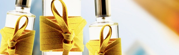 Attache-Moi 55 ICONOFLY perfume - a fragrance for women and men 2013