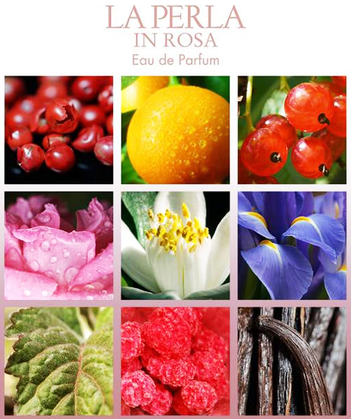 La Perla In Rosa Eau de Parfum La Perla perfume - a fragrance for women ...