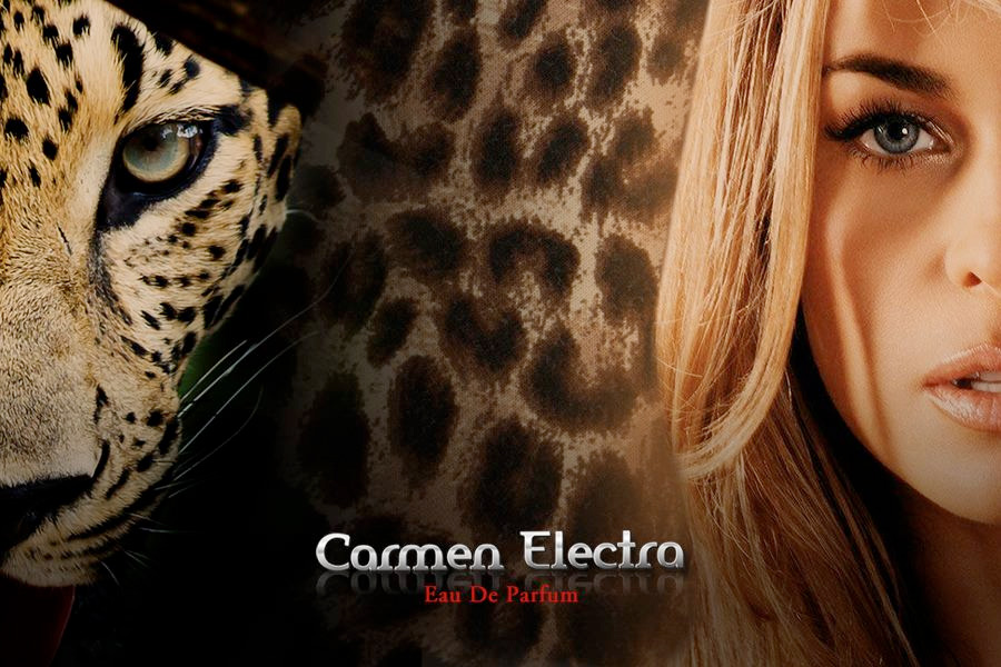 Rrrr! Carmen Electra perfume - a fragrance for women 2015