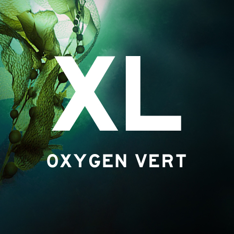XL Oxygen Vert Blood Concept perfume - a fragrance for women and men 2015