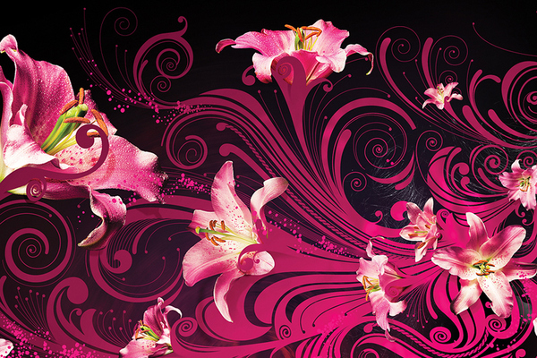 Lily Essence O Boticário perfume - a fragrance for women 2006