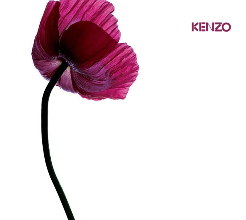 Flower by Kenzo Kenzo parfem - parfem za žene 2000