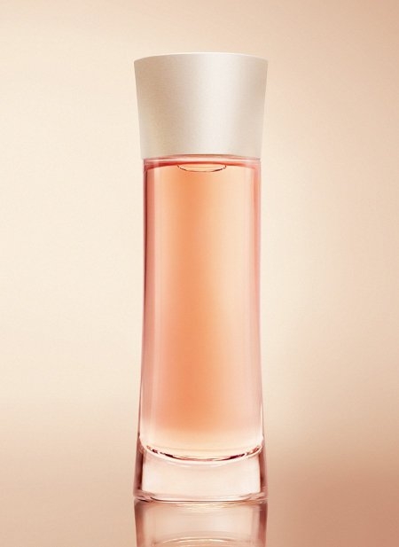 Armani Mania Giorgio Armani perfume - a fragrance for women 2004