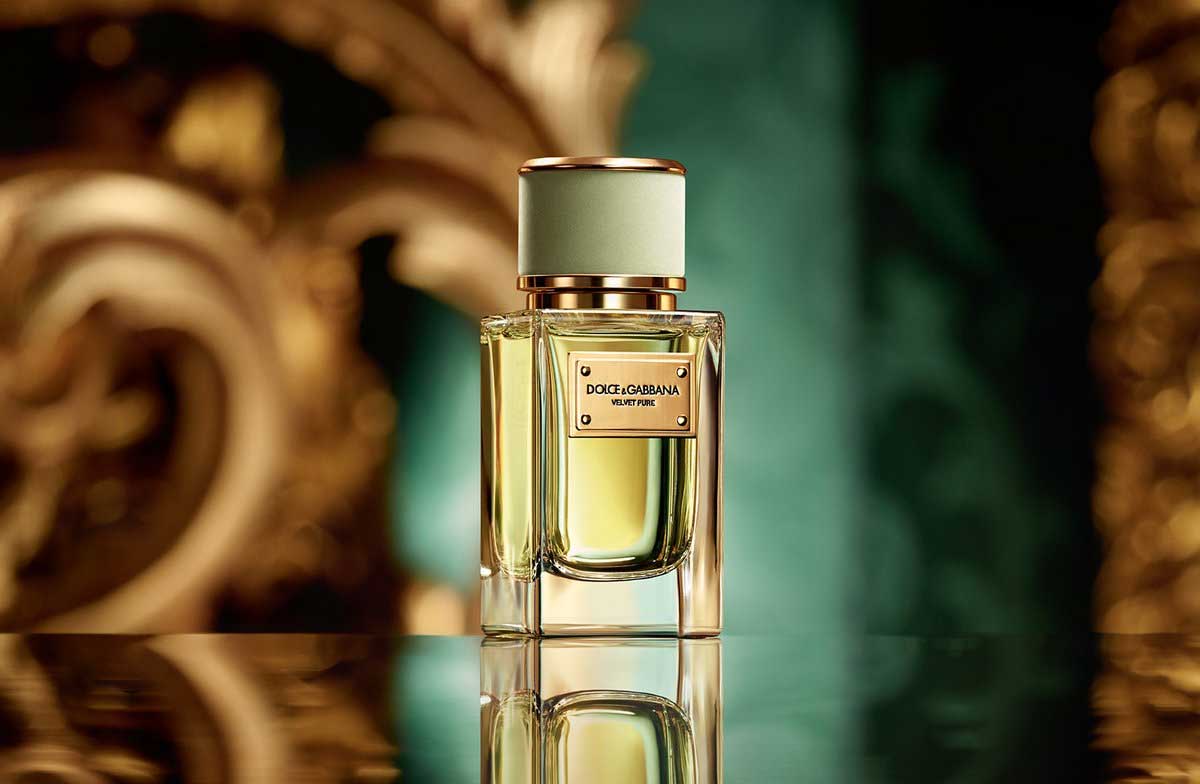 Velvet Pure Dolce&Gabbana perfume - a fragrance for women 2016