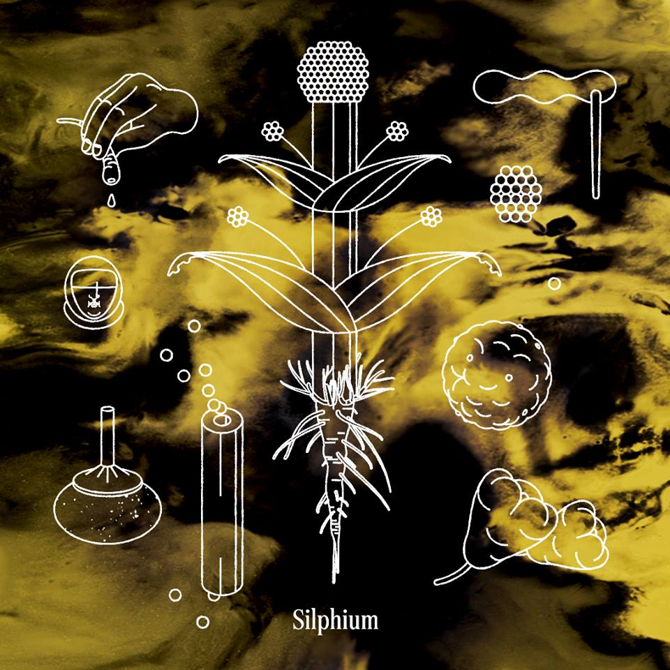 Silphium Stora Skuggan perfume - a fragrance for women and men 2017