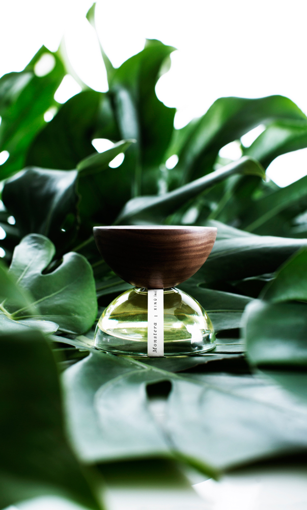 Monstera Xinú perfume - a fragrância Compartilhável 2017