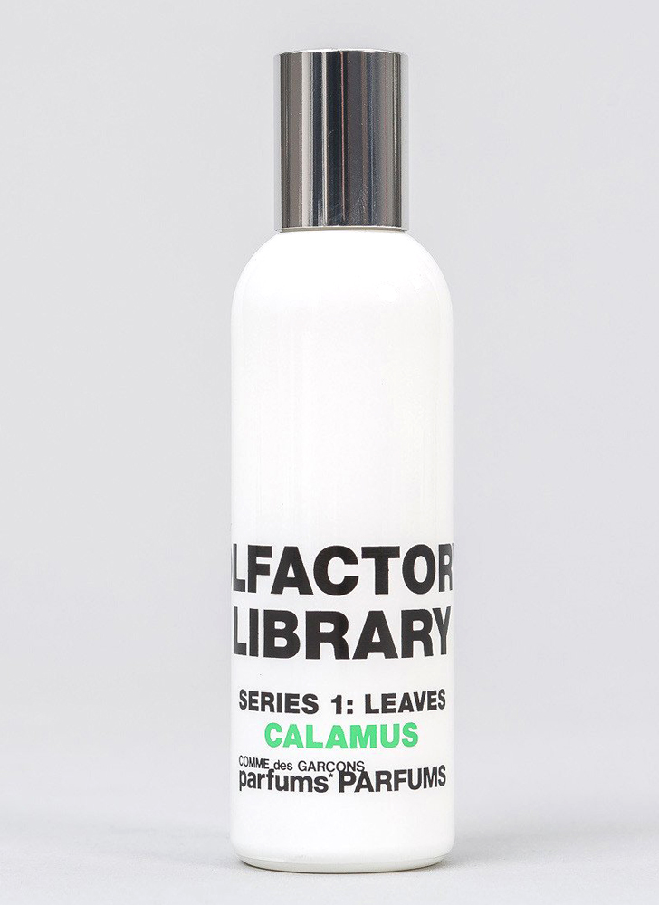 Comme des Garcons Series 1 Leaves: Calamus Comme des Garcons perfume ...