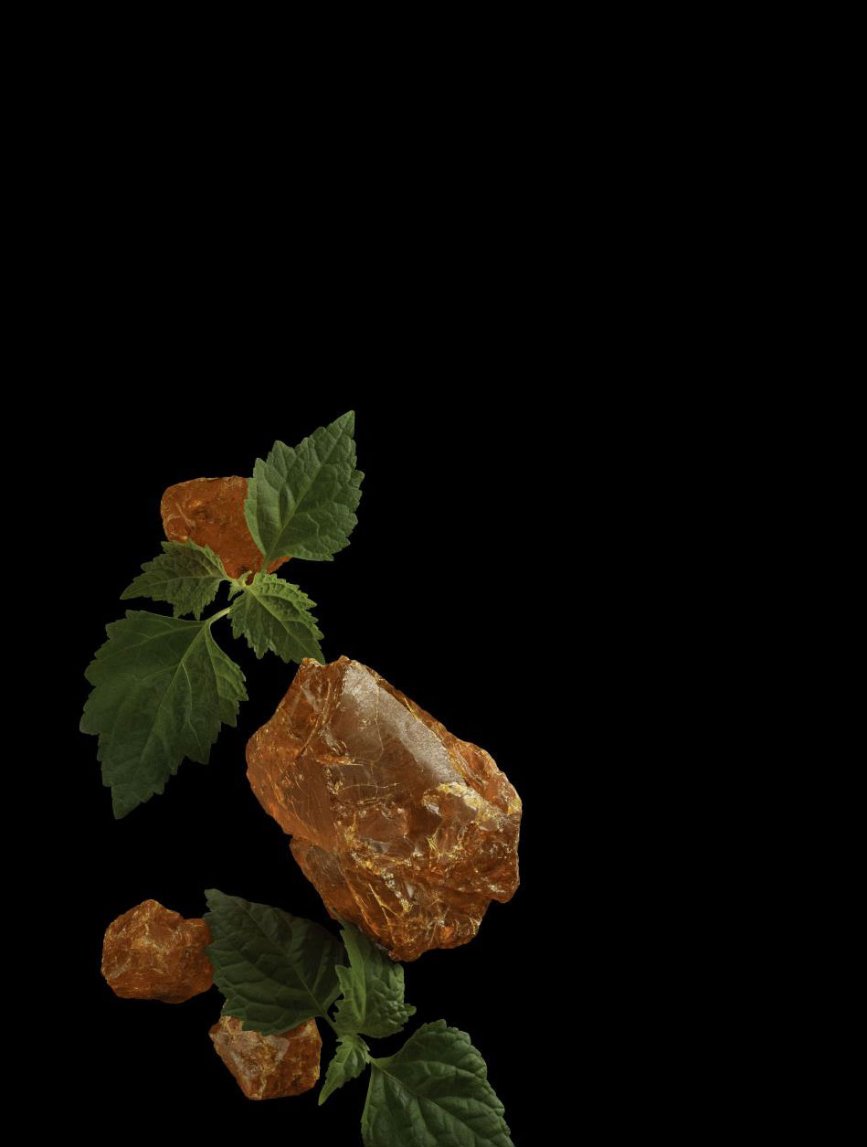 Prada L'Homme Intense Prada cologne - a fragrance for men 2017