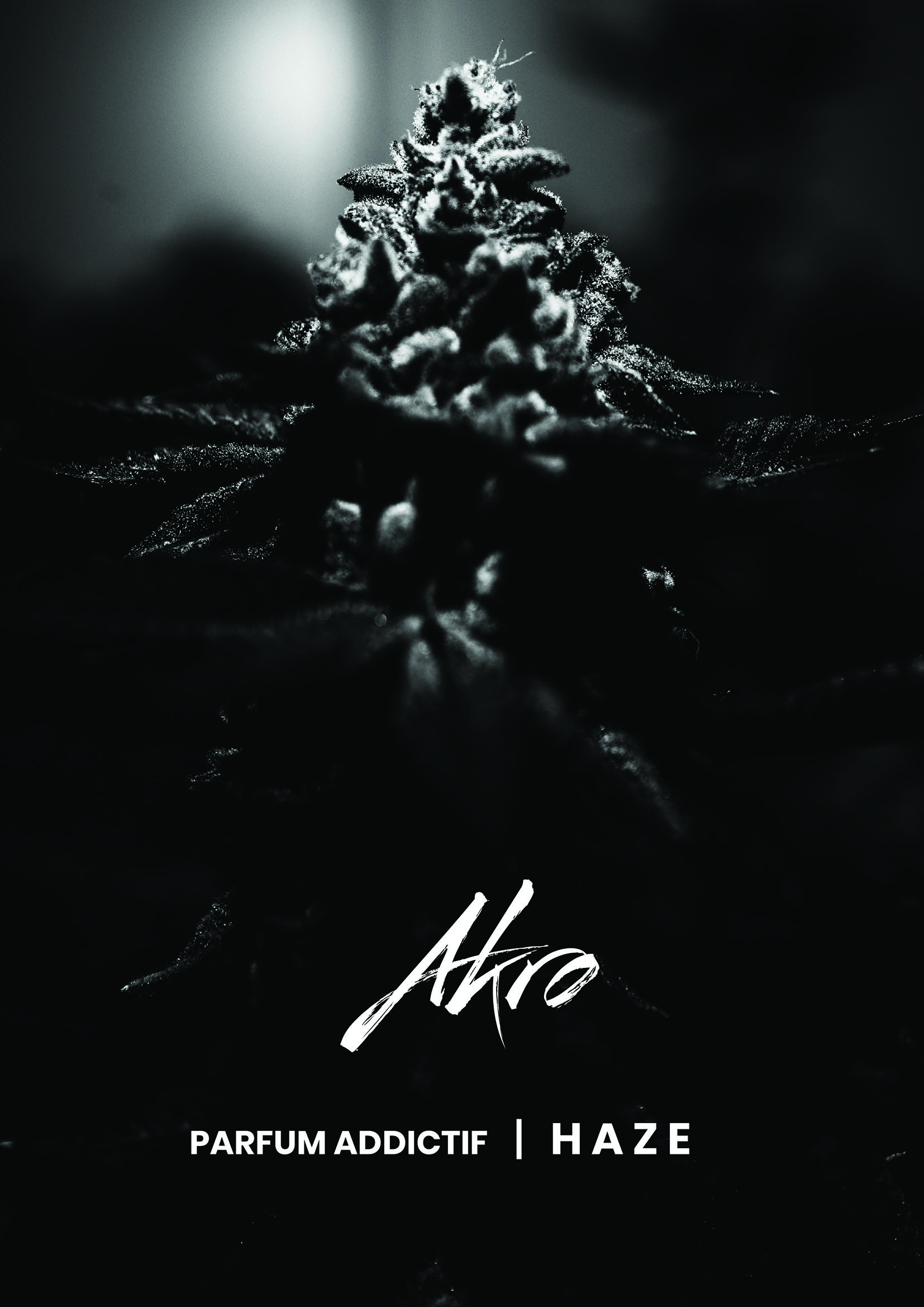 Haze Akro perfume - a fragrance for women and men 2018