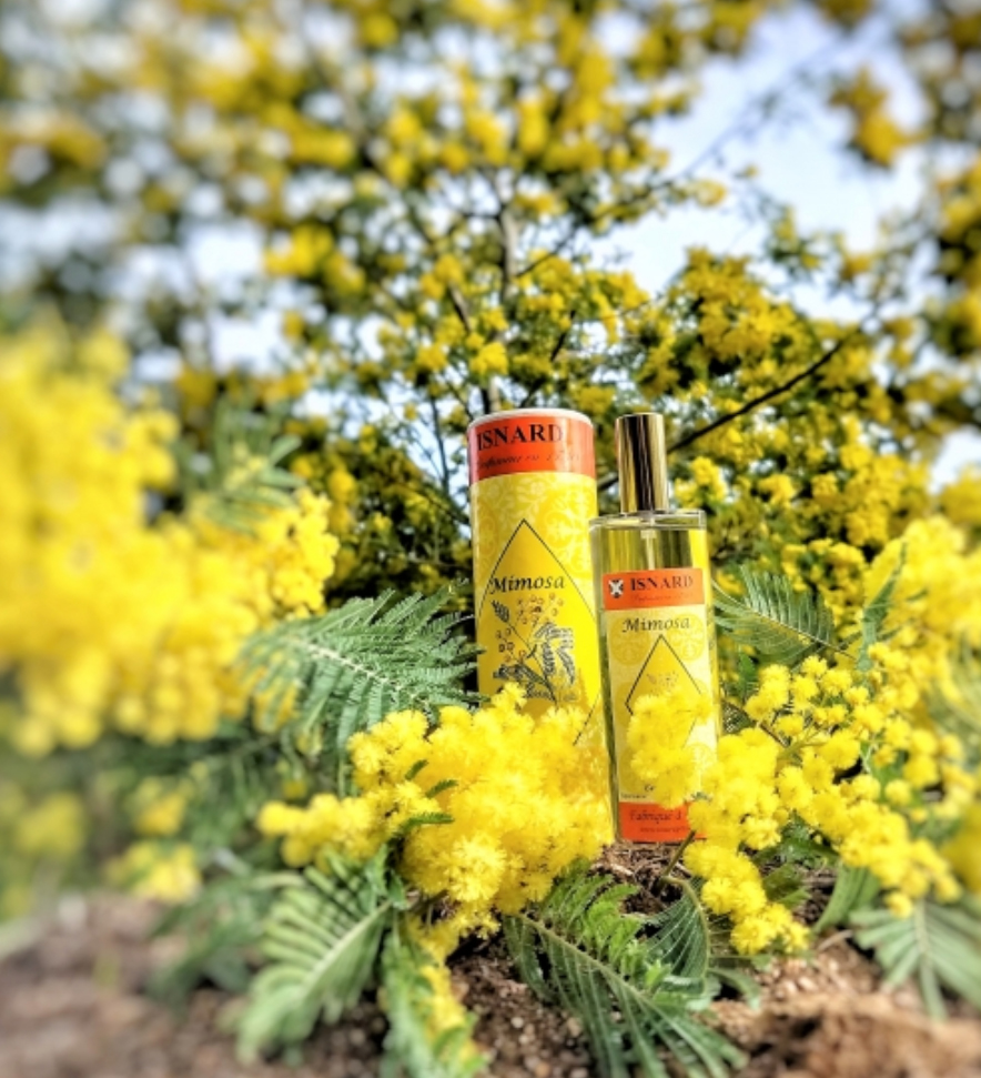 Mimosa Isnard perfume - a fragrance for women