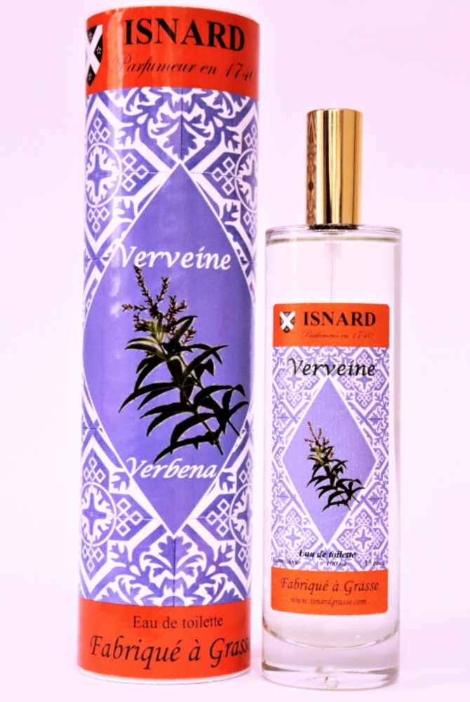 Verveine Isnard сүрчиг - a сүрчиг эрэгтэй эмэгтэй