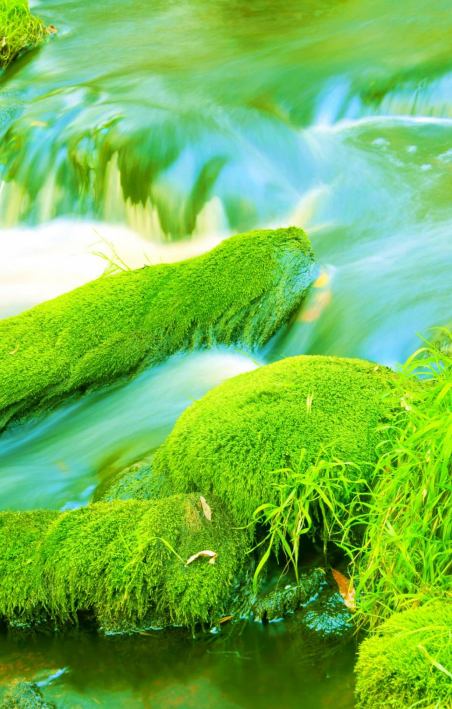 Ice River Herve Gambs Paris perfume - a fragrance for women and men 2019