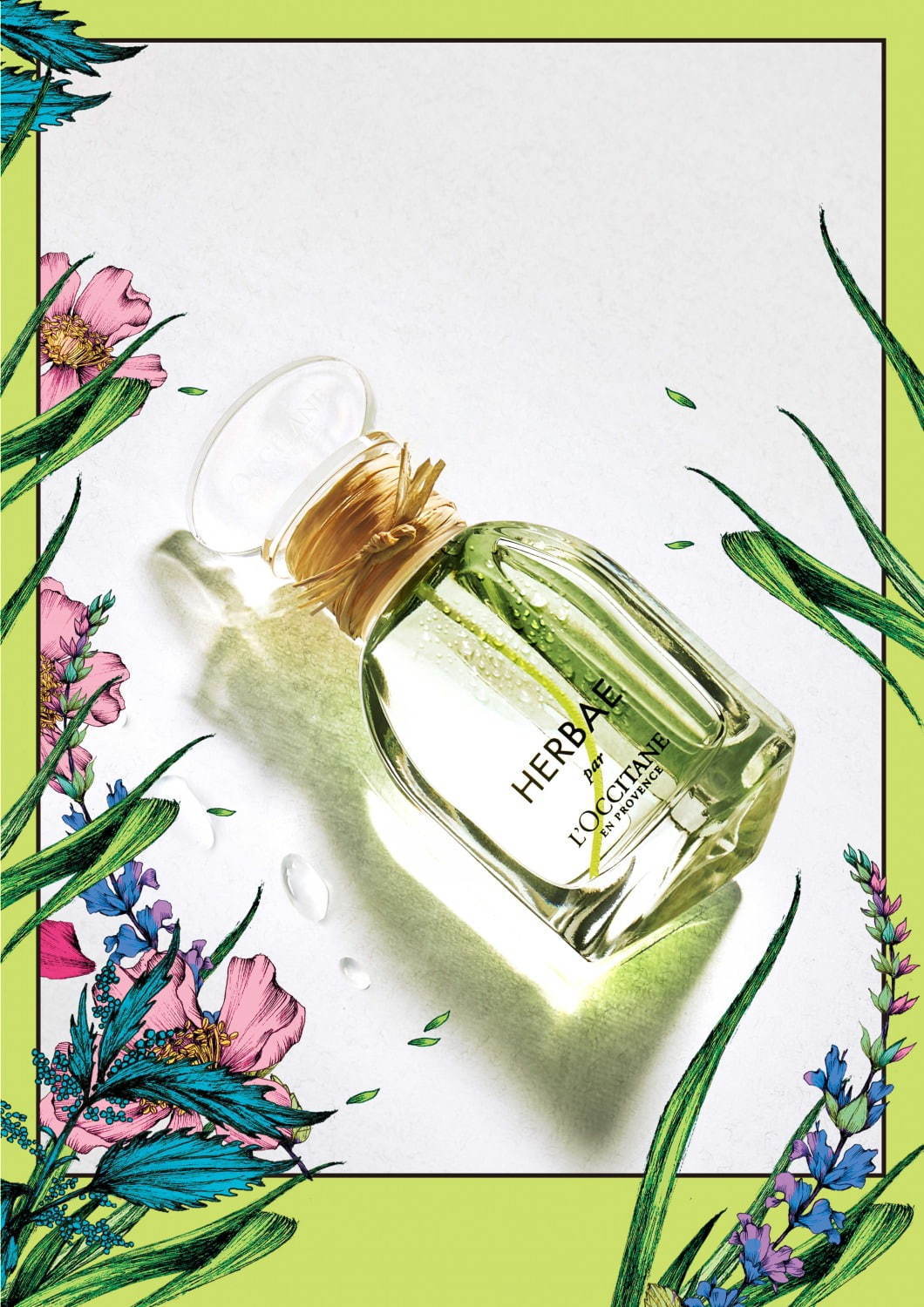 Herbae L'Occitane en Provence - una novità fragranza unisex 2019
