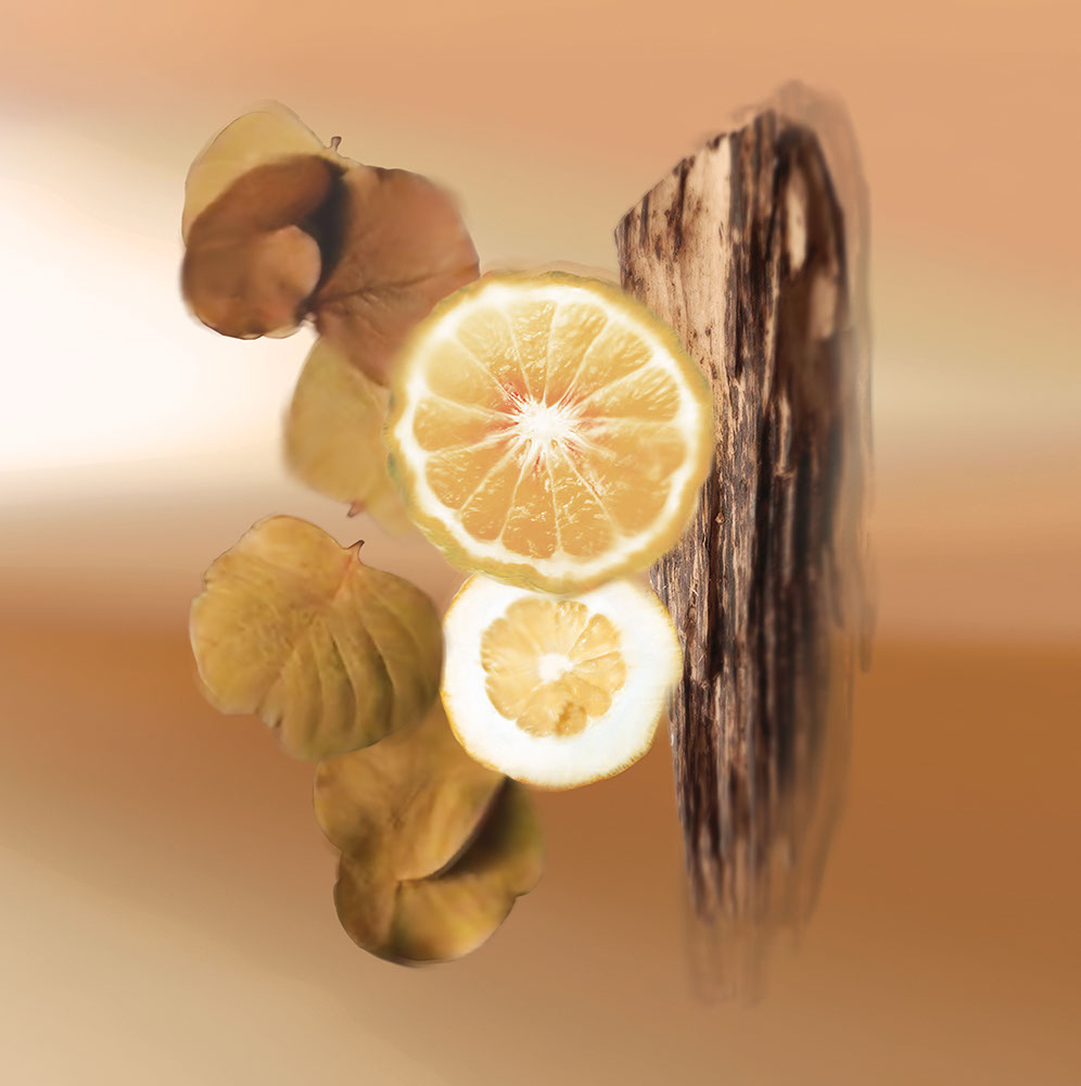 Endless Summer Keiko Mecheri perfume - a fragrance for women and men 2019