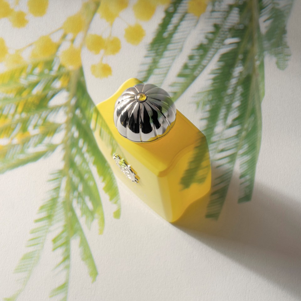 Love Mimosa Amouage perfume - a new fragrance for women 2019