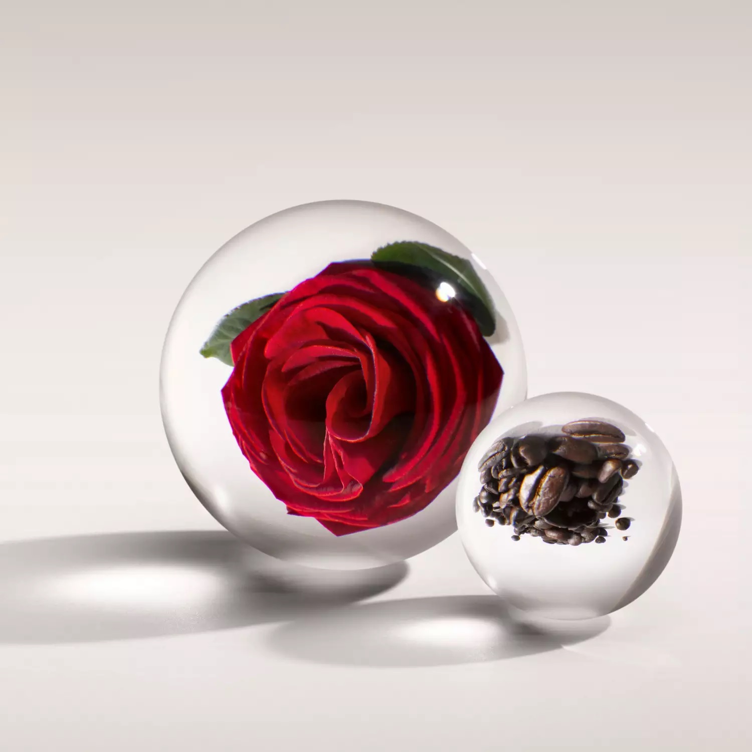 Rosa Absolute Eau de Parfum Molton Brown perfume - a fragrance for ...