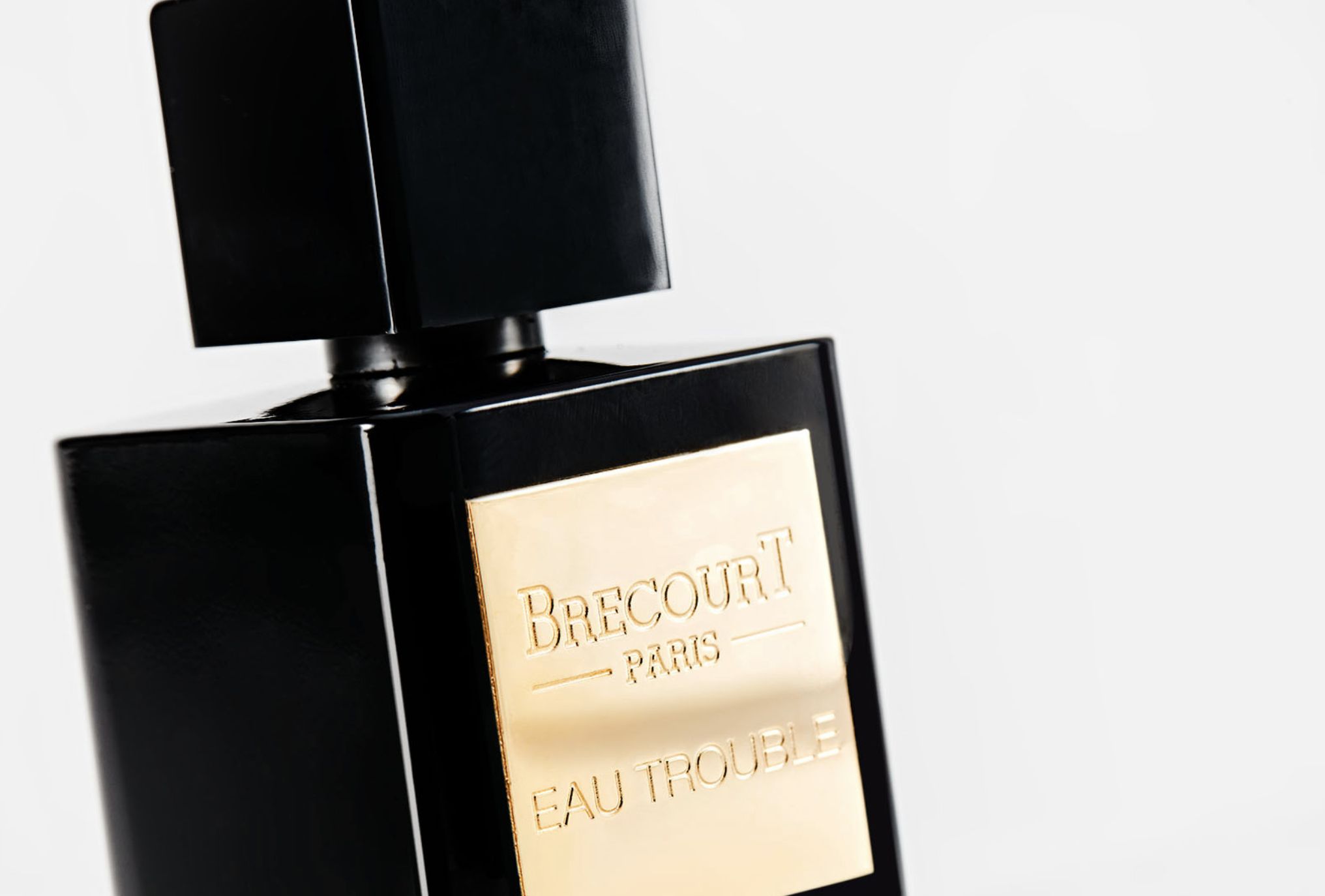 Eau Trouble Brecourt perfume - a fragrance for women 2010
