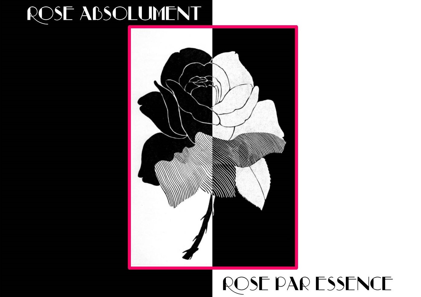 Rose Absolument Les Parfums de Rosine parfum - een nieuwe geur voor ...
