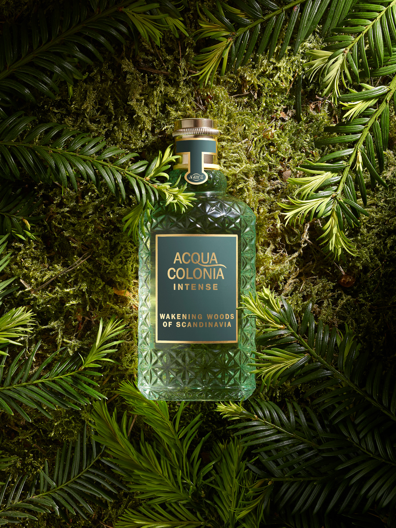 4711 Acqua Colonia Intense Wakening Woods Of Scandinavia 4711 Parfum ...