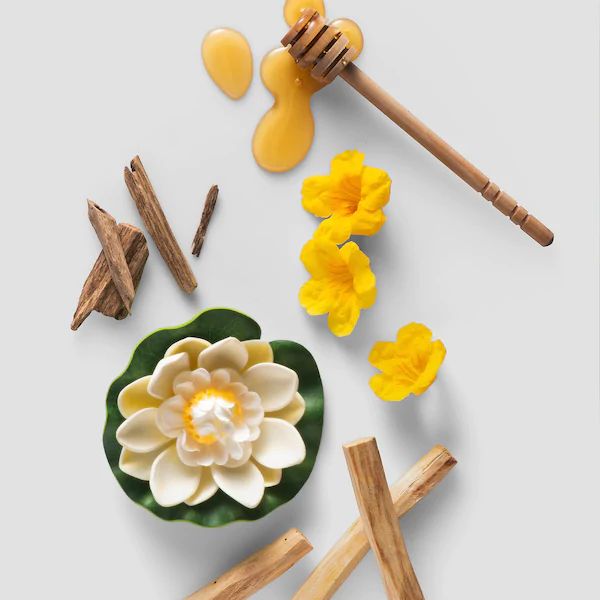 Integrity The Phluid Project perfume - a fragrance for women and men 2020