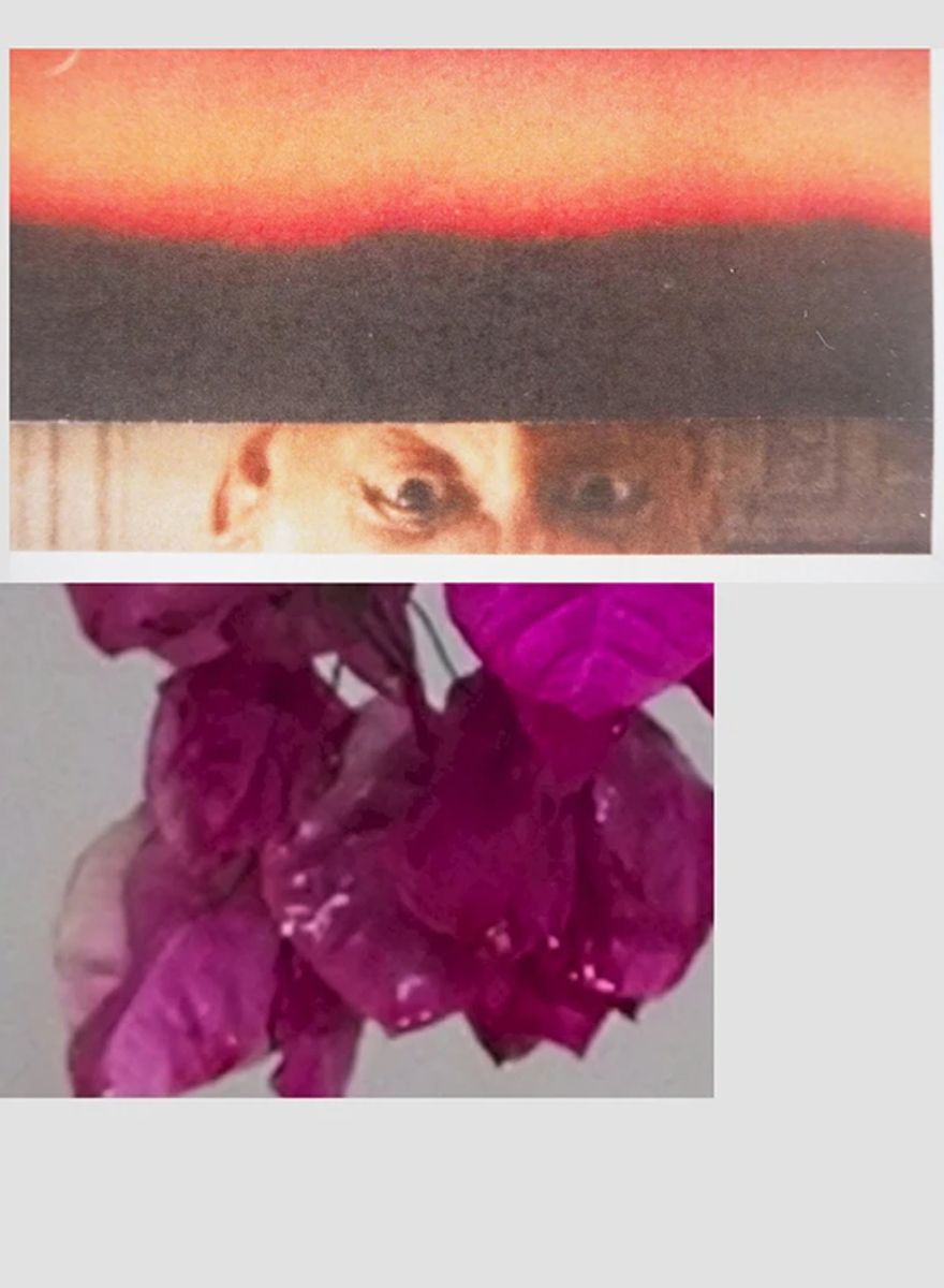 Pablo Curionoir perfume - a fragrance for women and men 2018