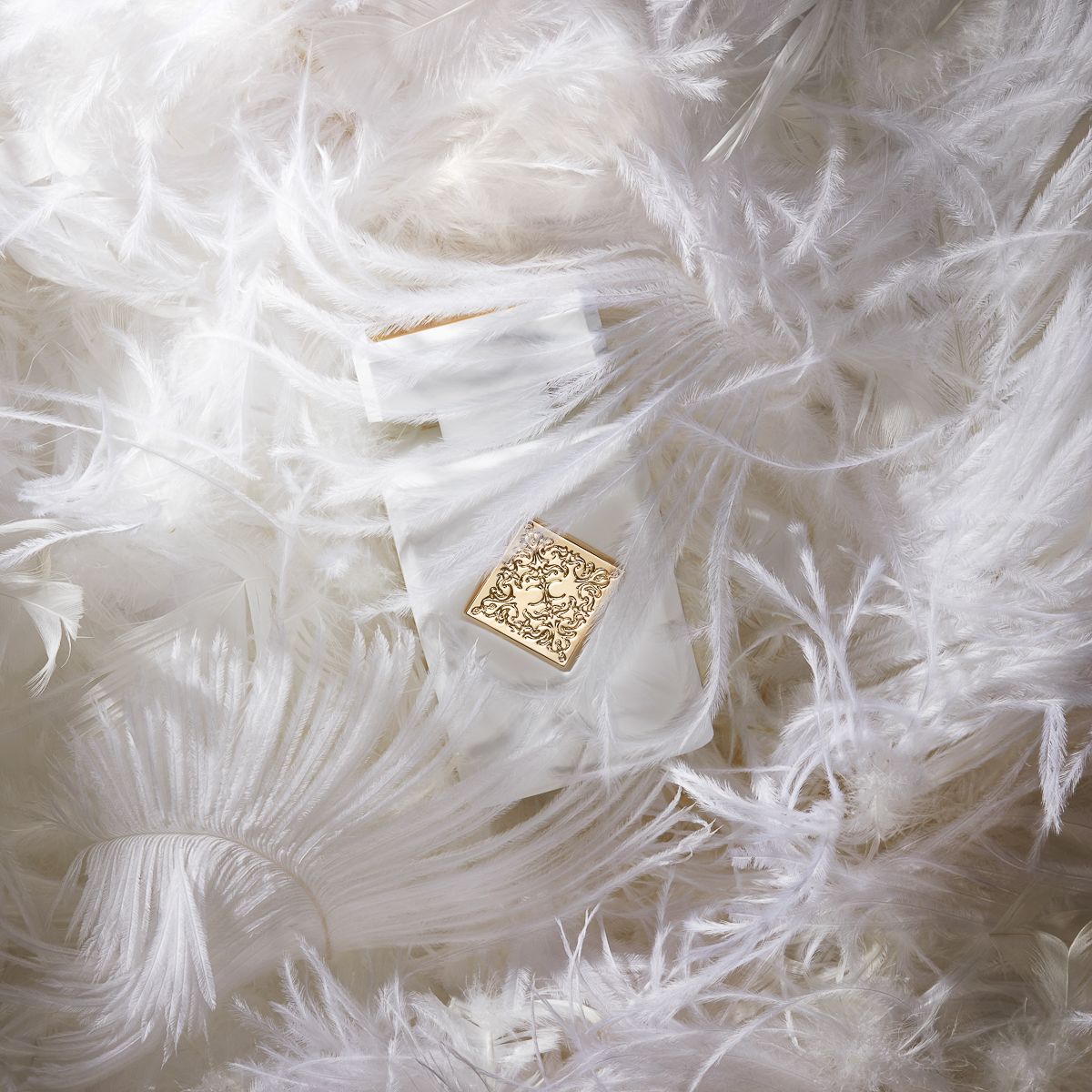 Musk Therapy Initio Parfums Prives parfum - een nieuwe geur voor dames ...