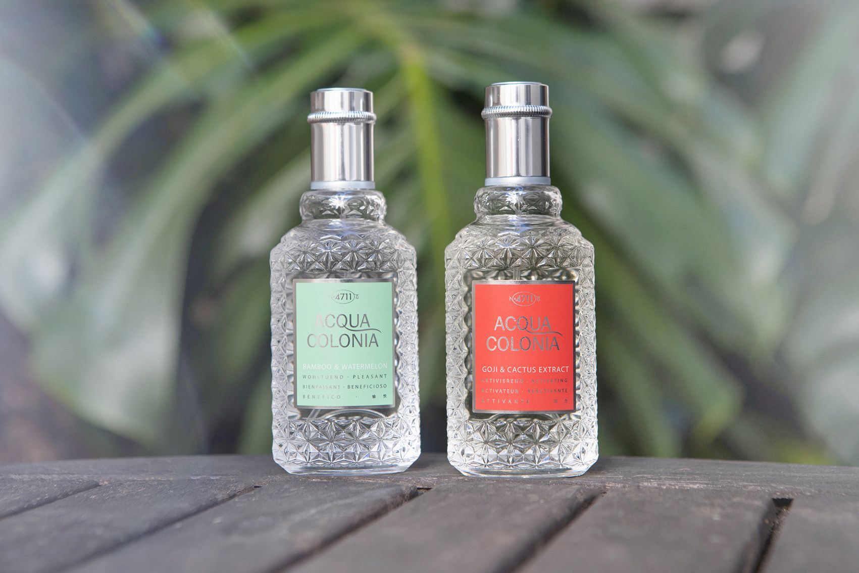 4711 Acqua Colonia Goji & Cactus Extract 4711 perfume - a fragrance for ...