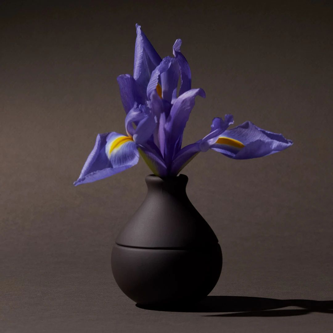 Night Iris KKW Fragrance perfume - a fragrance for women 2021
