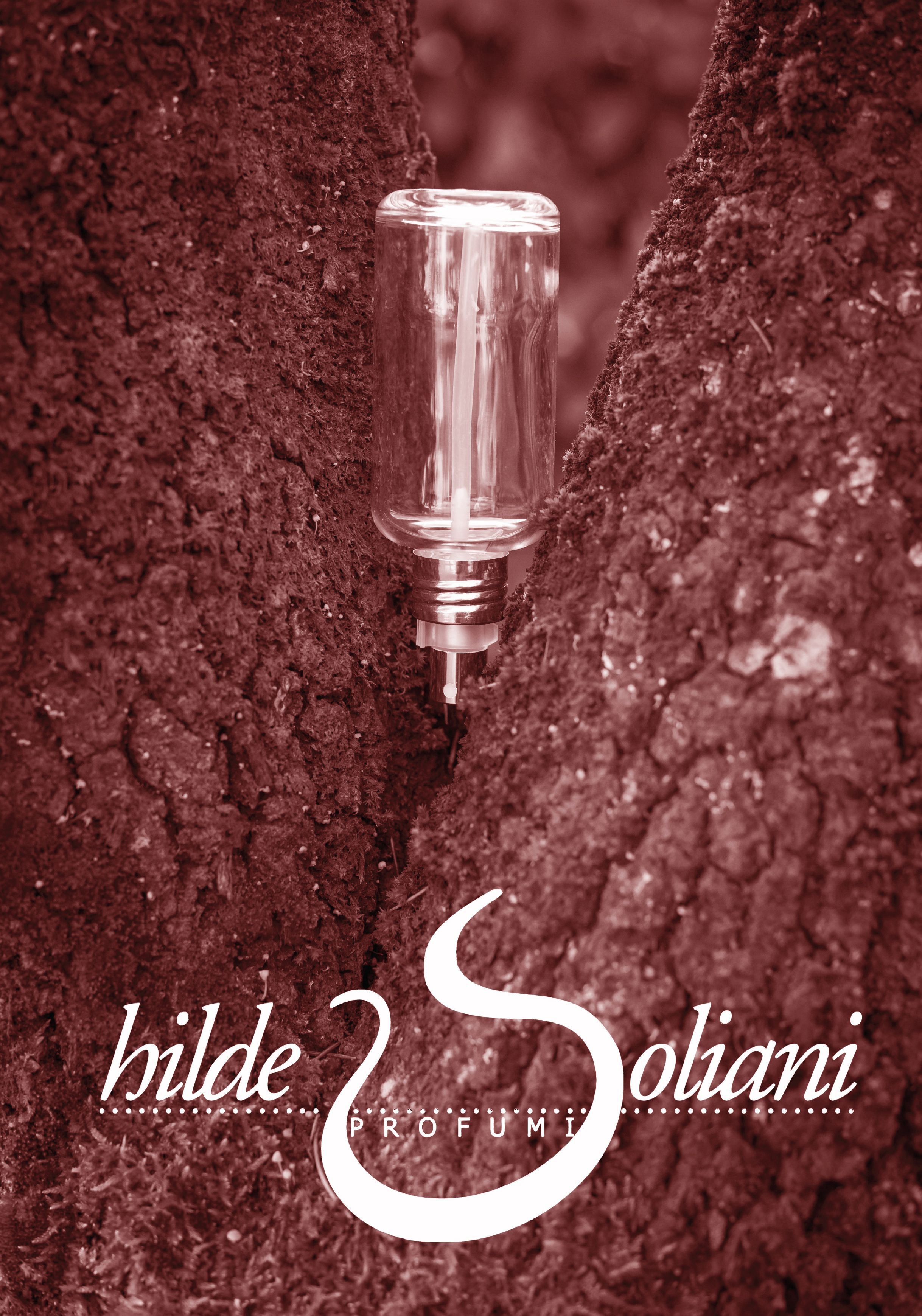 Disobbedienza Hilde Soliani perfumy - to perfumy dla kobiet i mężczyzn 2021