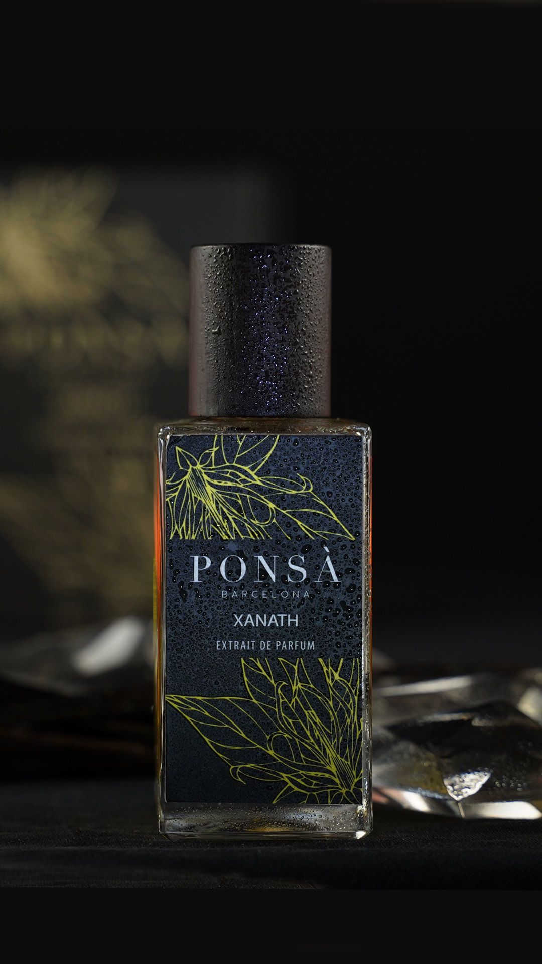 Xanath Ponsa perfume - a fragrance for women and men 2021