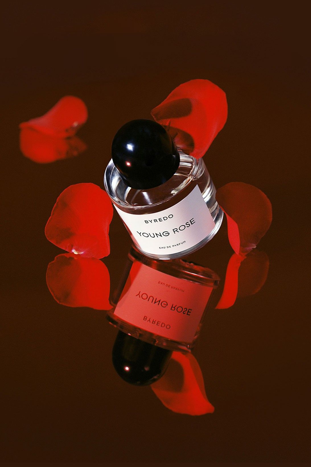 Young Rose Byredo perfume - a new fragrance for women and men 2021