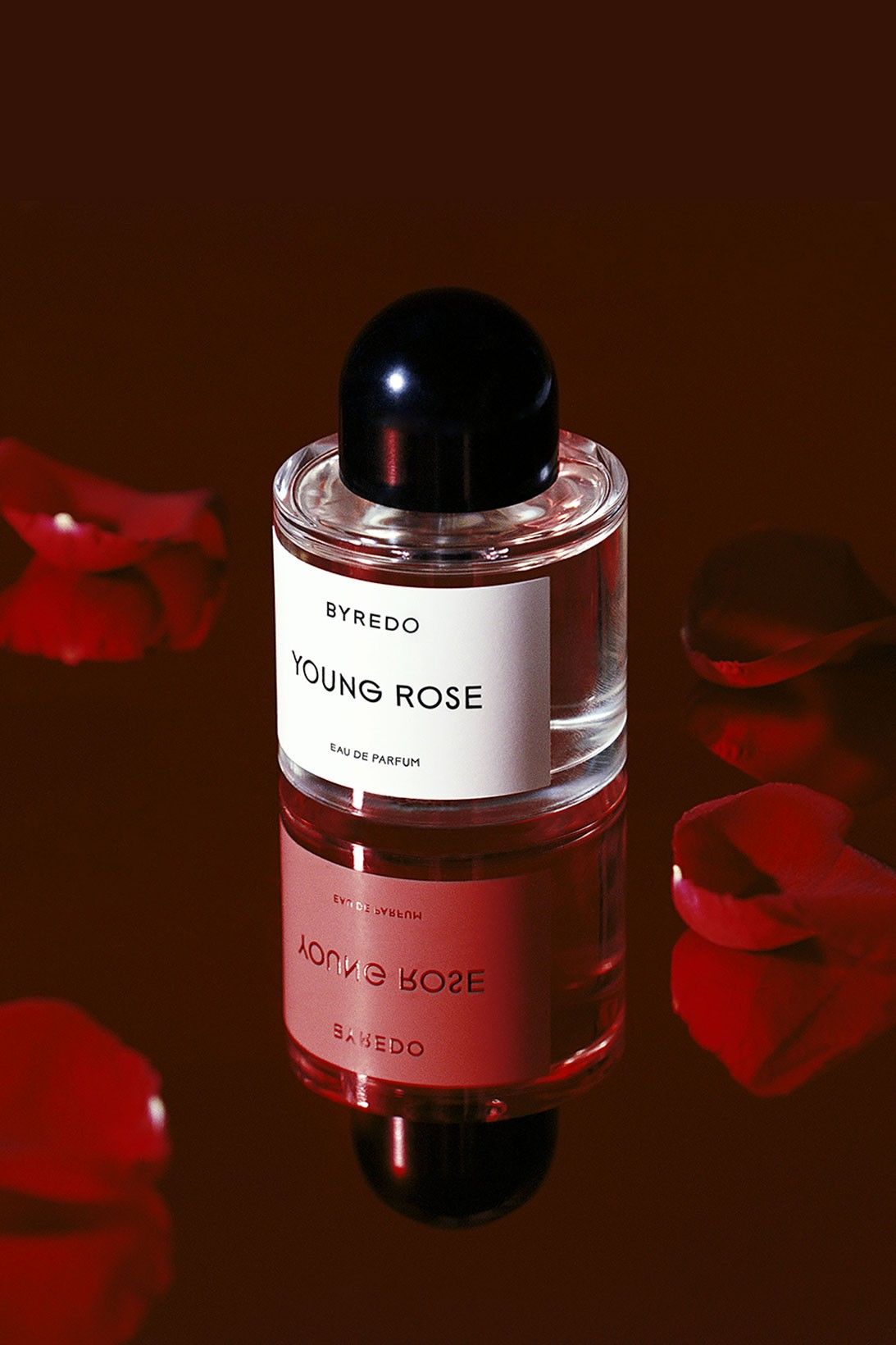 Young Rose Byredo perfume - a new fragrance for women and men 2021