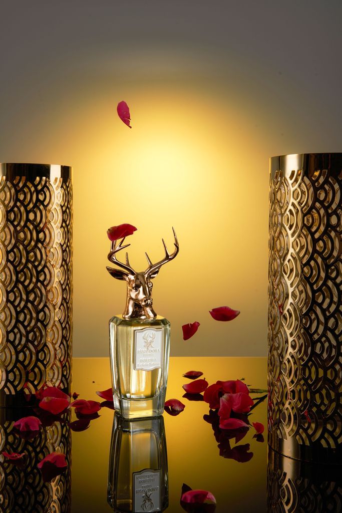 Dorasima Pana Dora perfume - a new fragrance for women and men 2022