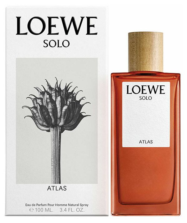 Solo Atlas Loewe cologne - a fragrance for men 2021