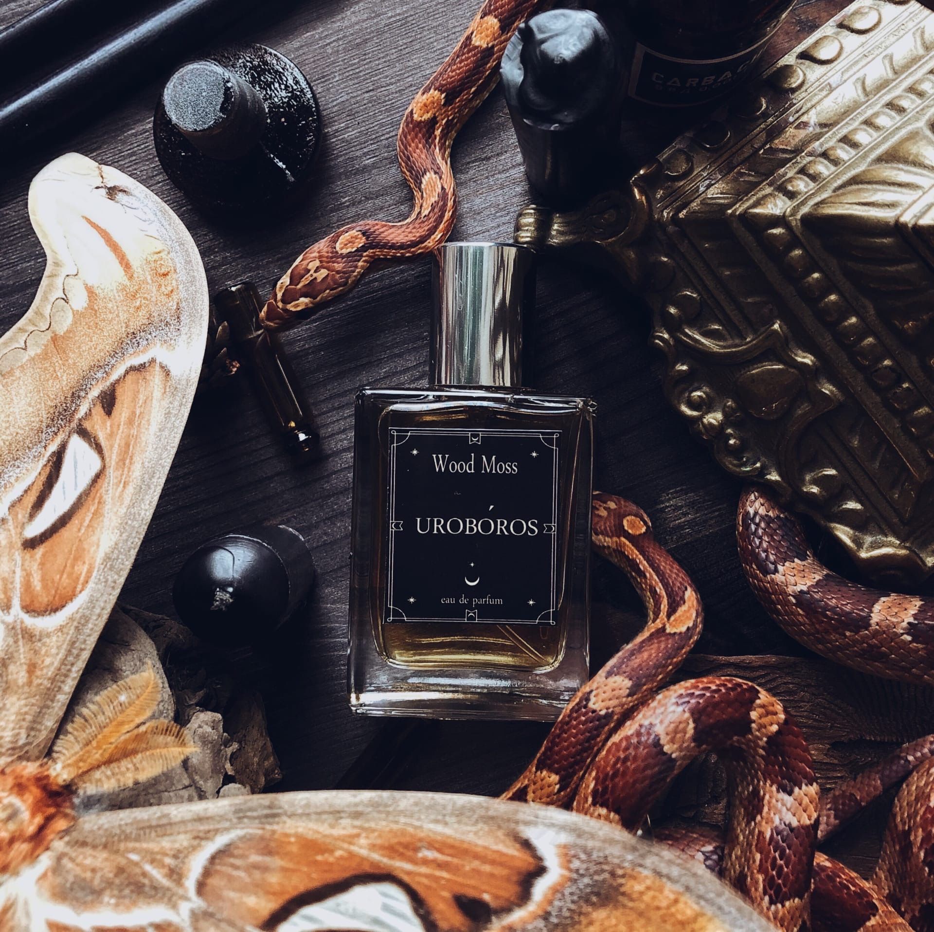 Ourobóros Wood Moss perfume - a fragrance for women and men 2021