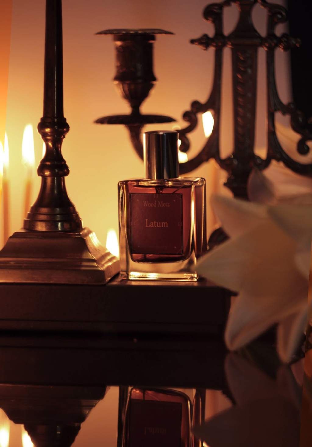 Latum Wood Moss perfume - a fragrance for women and men 2021