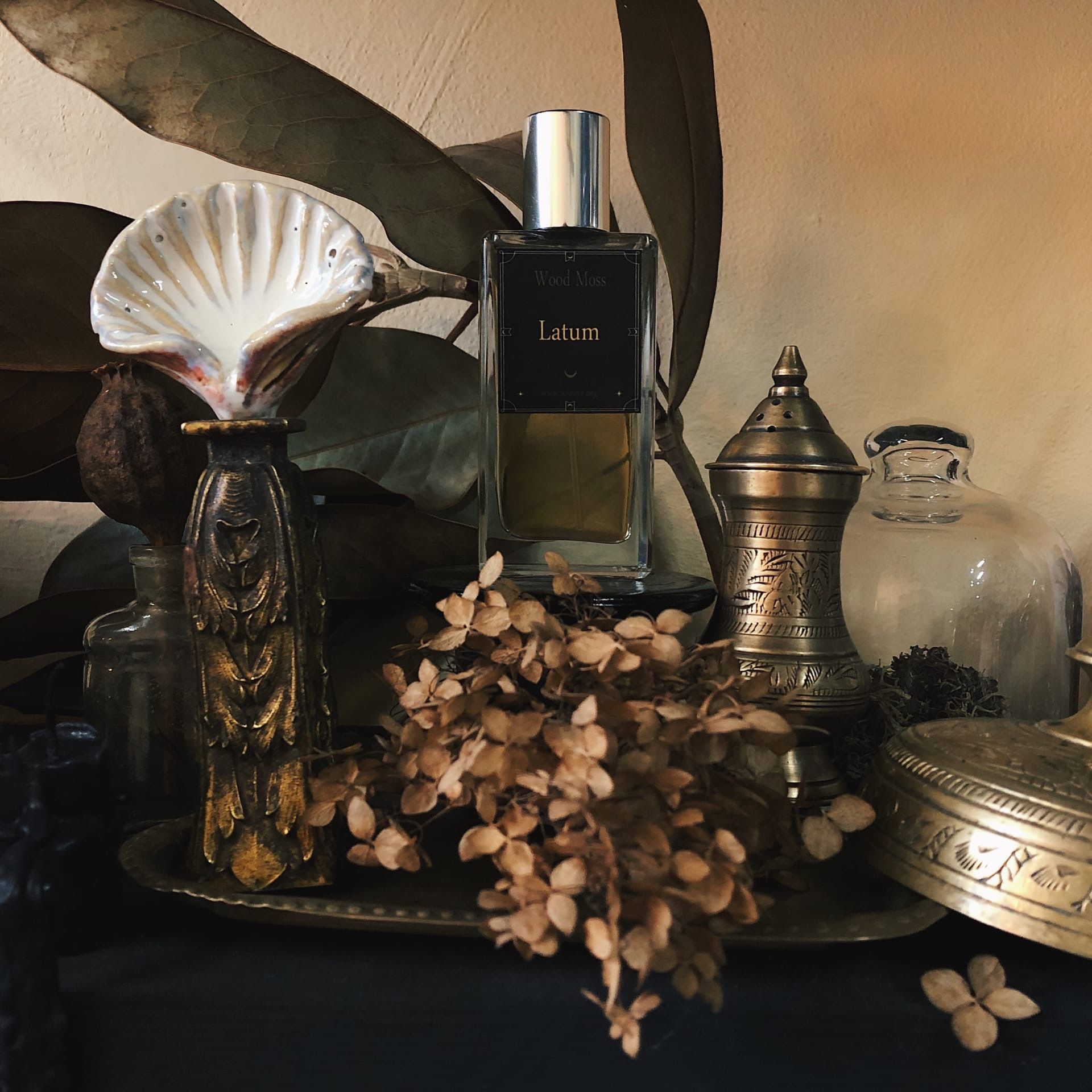 Latum Wood Moss perfume - a fragrance for women and men 2021